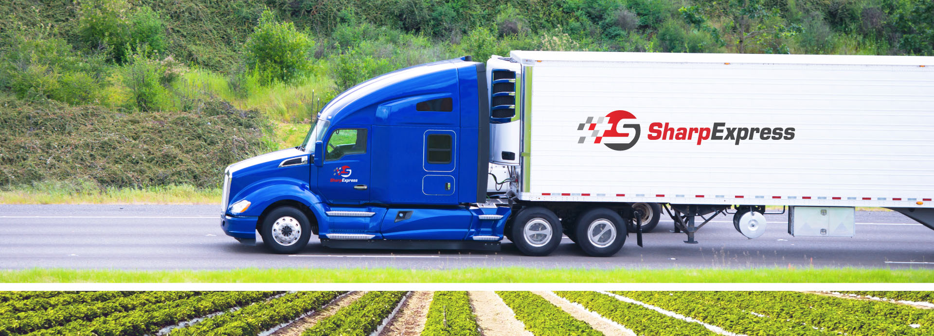 Sharp Express – Think Sharp, Go Sharp!